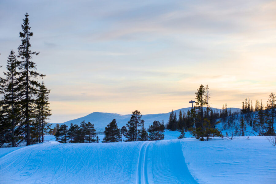 Skisporet.no - Storlirennet